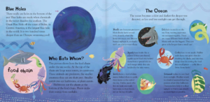 Ocean Books to Read Aloud With Grandkids - Playdatebox